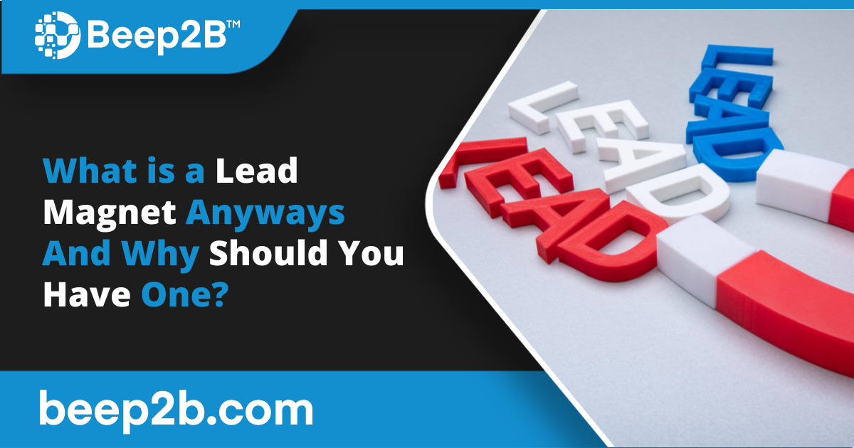 What is a Lead Magnet Anyways And Why Should You Have One? - B2B ...